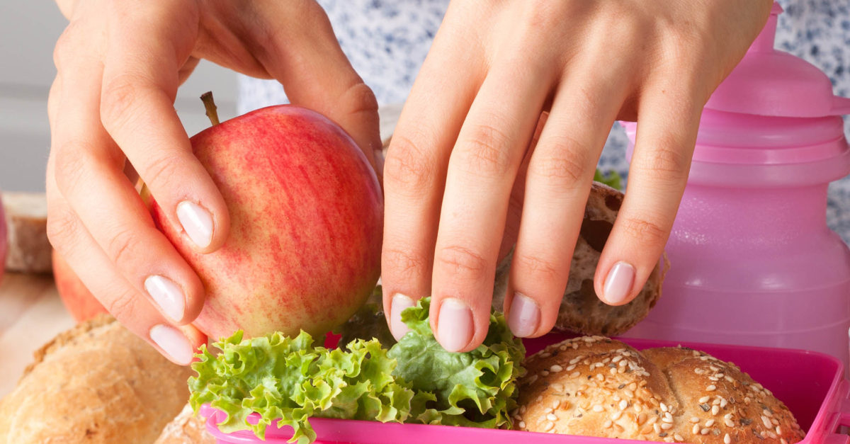 Lessons on the Lunch Box - CHOC - Children's Health Hub