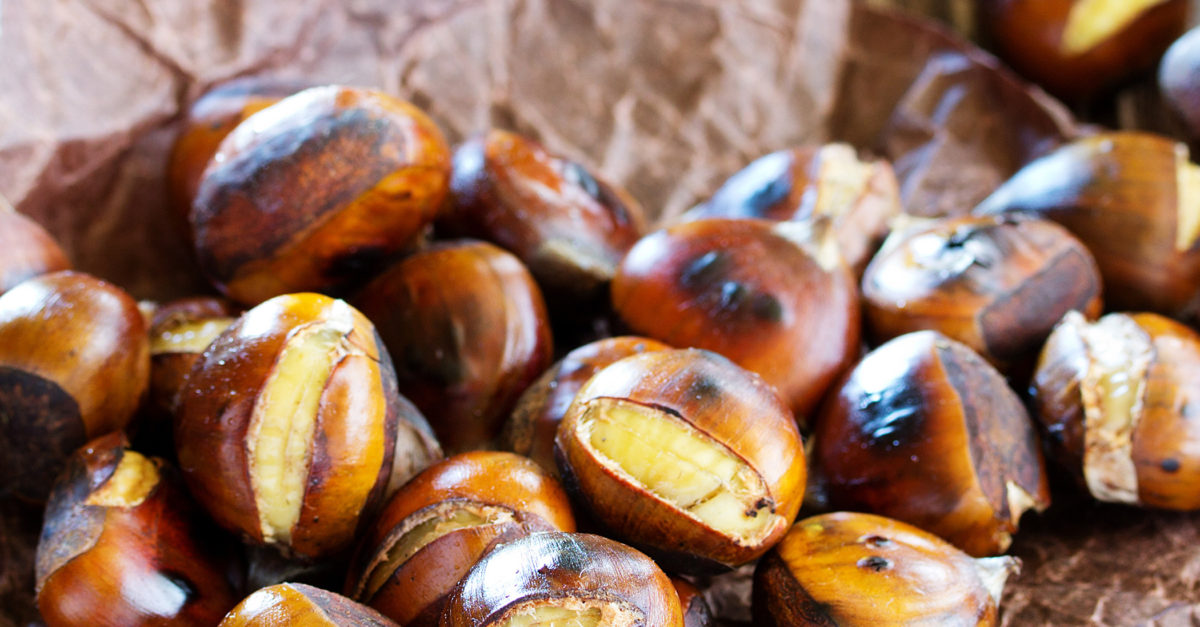 December 14 is National Roast Chestnuts Day - CHOC - Children's Health Hub