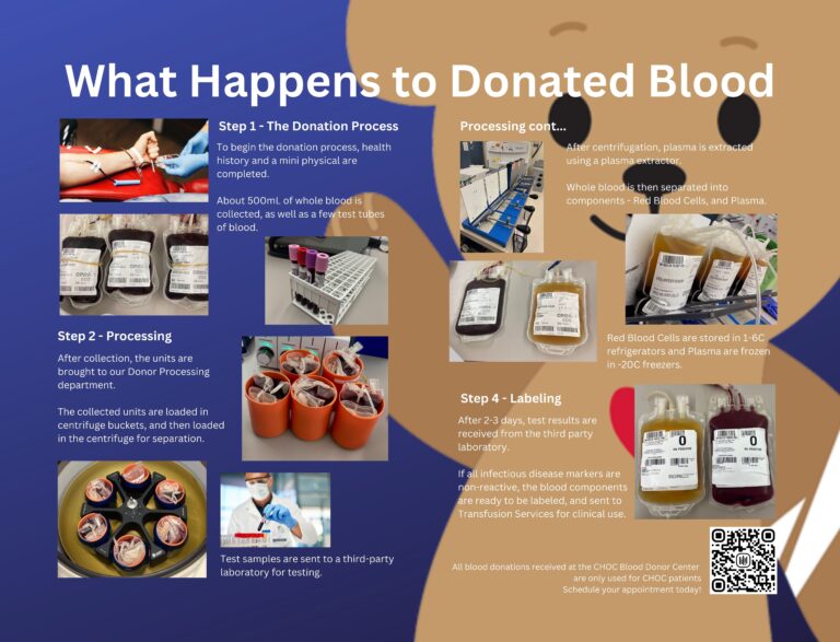The journey of donated blood - CHOC - Children's Health Hub